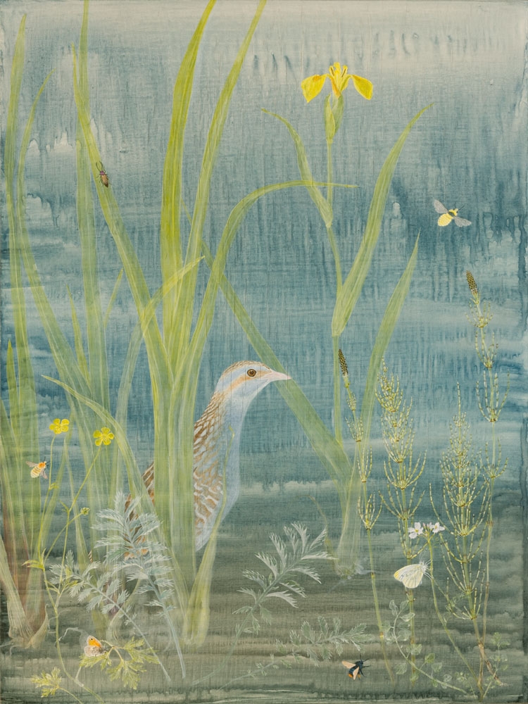 Artist Ecologist Lil Tudor-Craig, Ecology into Art, Environmental ...